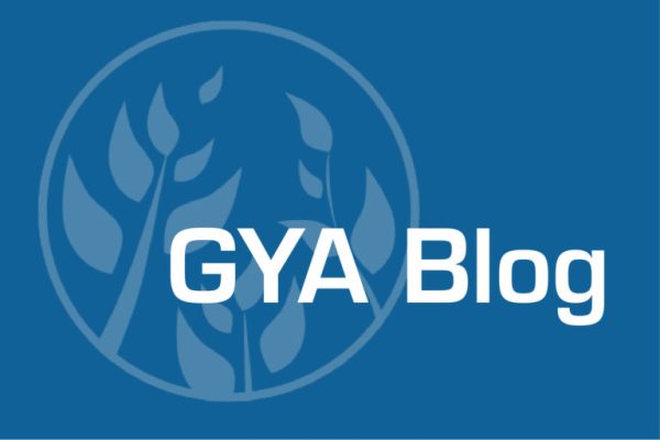 GYA Home - Global Young Academy