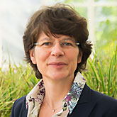 Team | Global Young Academy